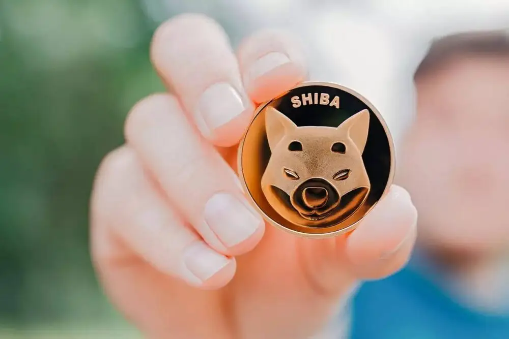 Top Ten Shiba Inu’s Largest Holders in 2026: Full Breakdown