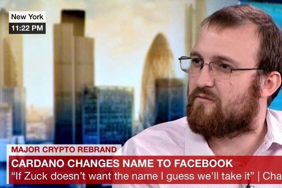 Unrealized Metaverse, Dogs, and 20 Crypto Jokes