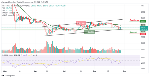 LTC Holds Above $50 Resistance; TAMA, a Meme Coin Game Changer