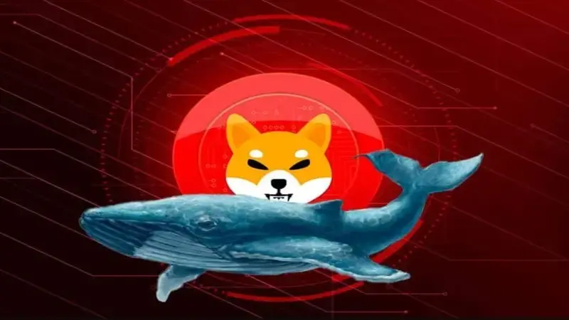 Shiba Inu Whale Net-Flow Up 275%: Will SHIB Rise?