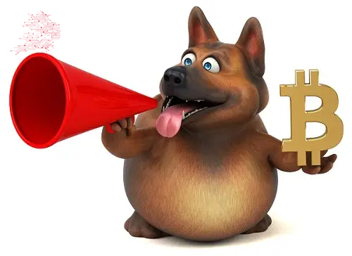 Dog-themed NFT gaming project unveils first BRC-20 ICO amid the Bitcoin ...