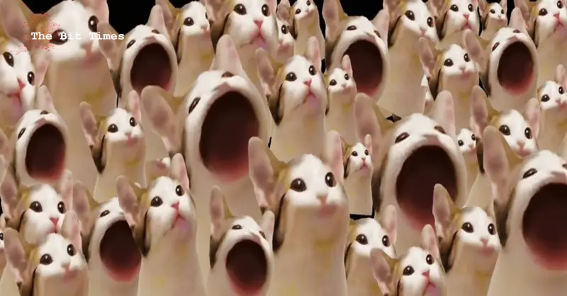 Top Trending Cryptos on GeckoTerminal Today – Simons Cat, Memes AI ...